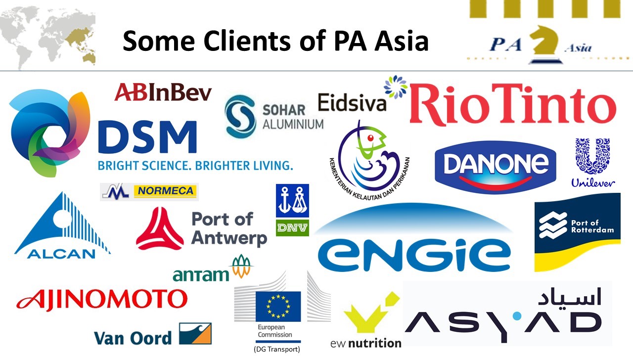 Issues, Projects, Clients - PA-International